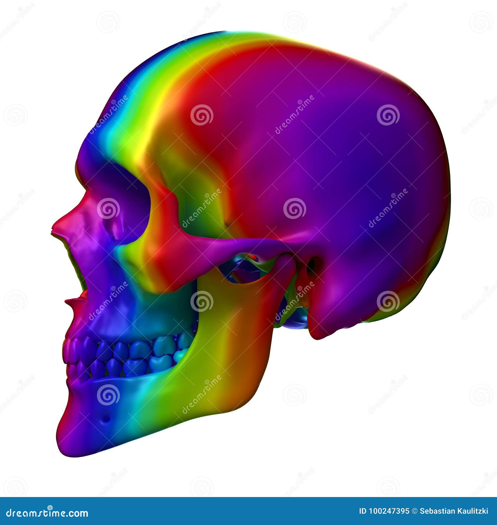 A rainbow skull stock illustration. Illustration of human - 100247395