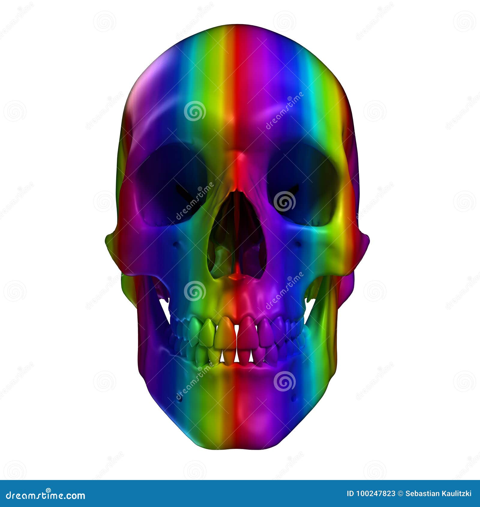 A rainbow skull stock illustration. Illustration of anatomical - 100247823