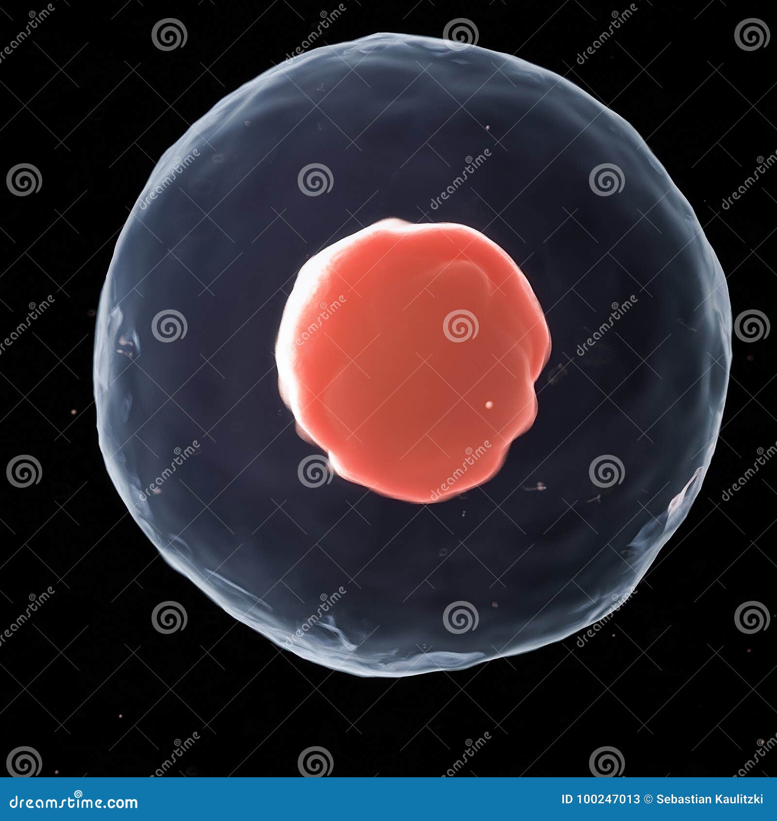 Generic cells stock illustration. Illustration of medical - 100247013