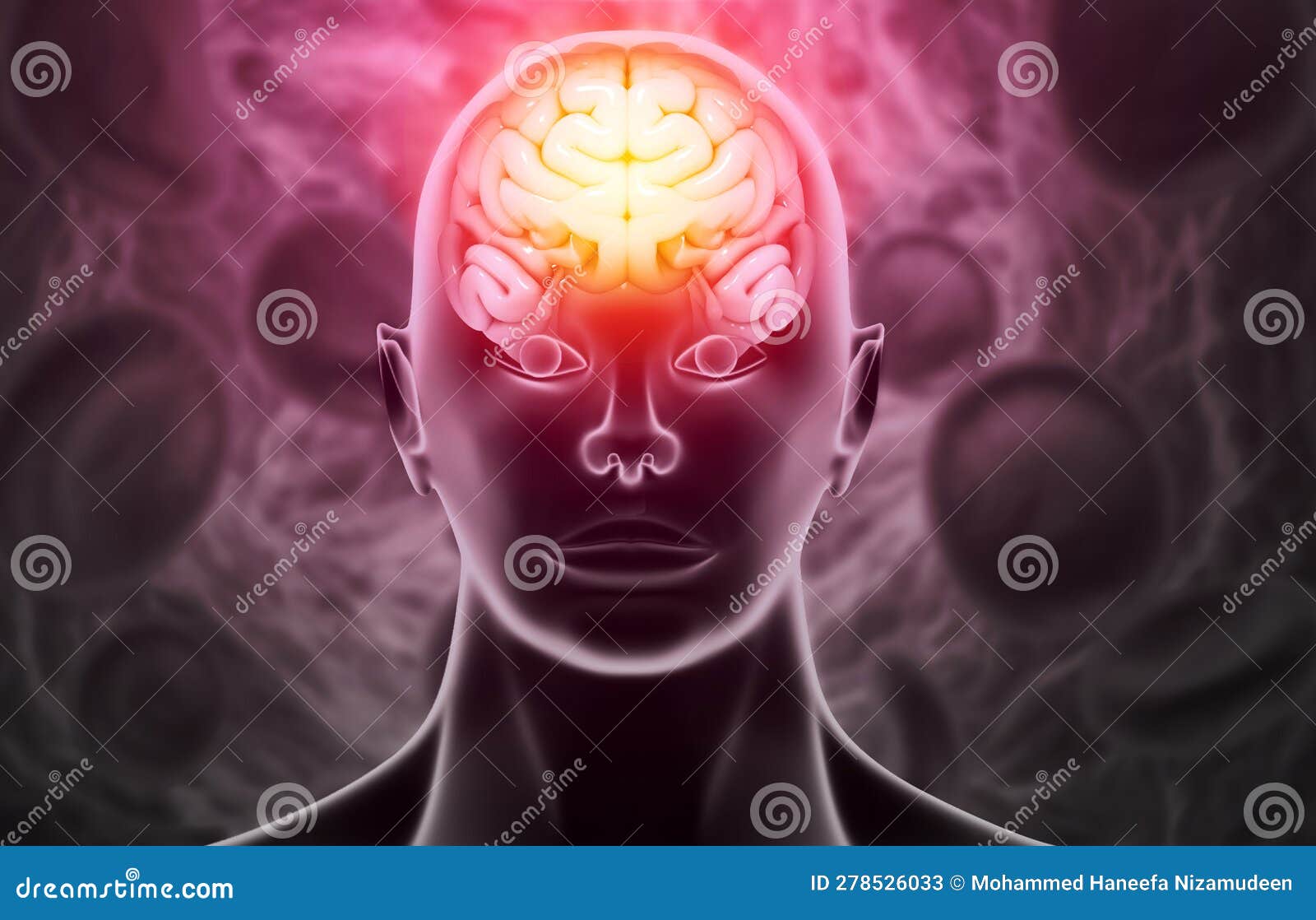 Medically Accurate Illustration of the Human Brain Stock Illustration ...