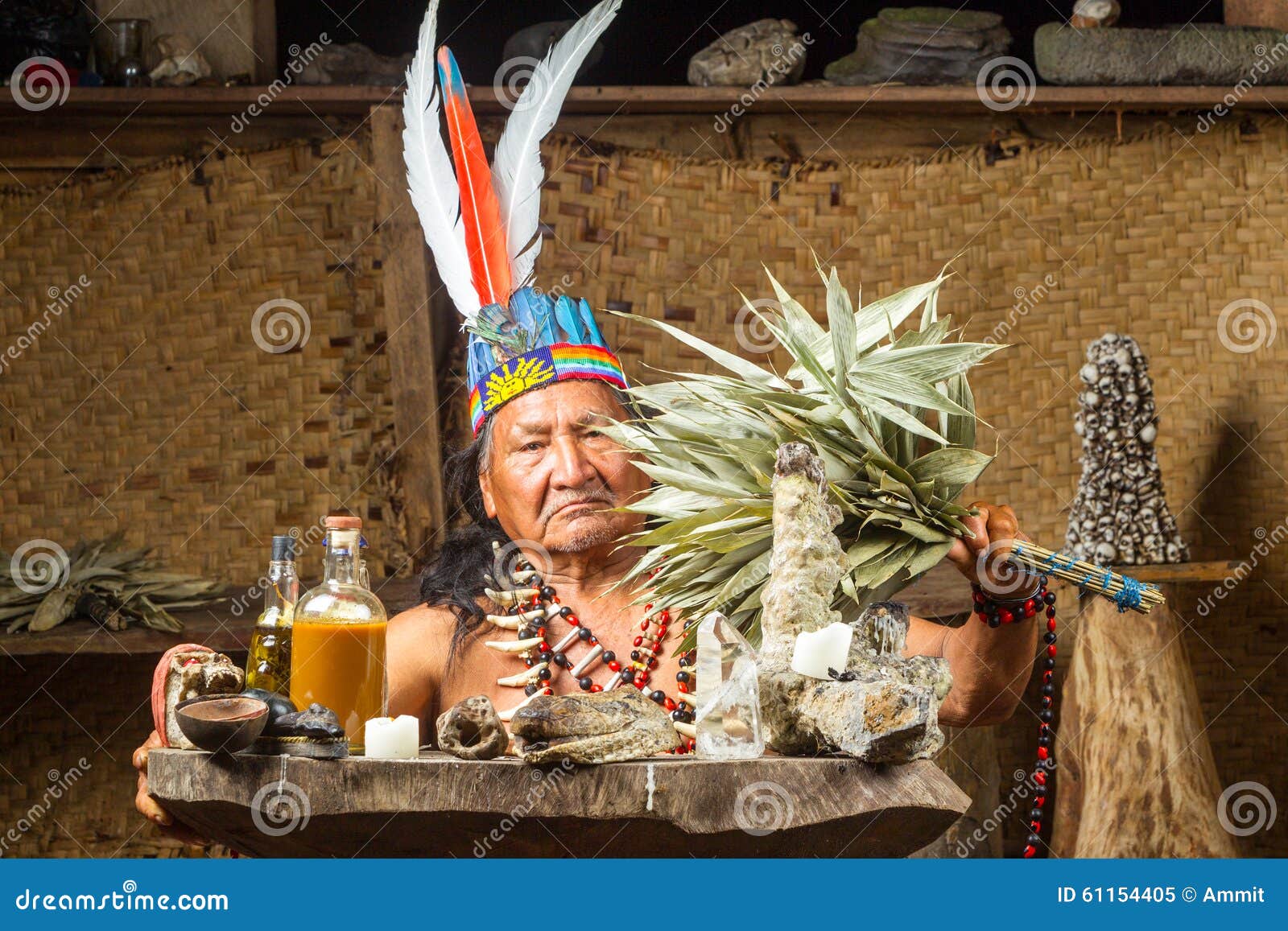 Medicijnman Uit De Amazone Portrait Stock Afbeelding - Image of ...