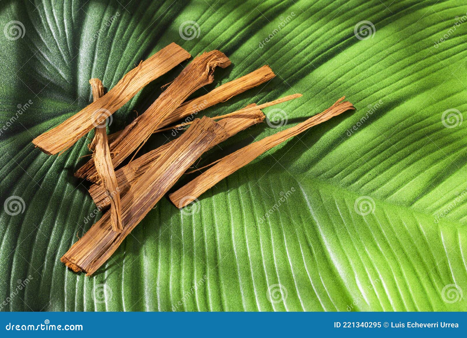 Uncaria Stem With Hooks Royalty-Free Stock Photo | CartoonDealer.com ...