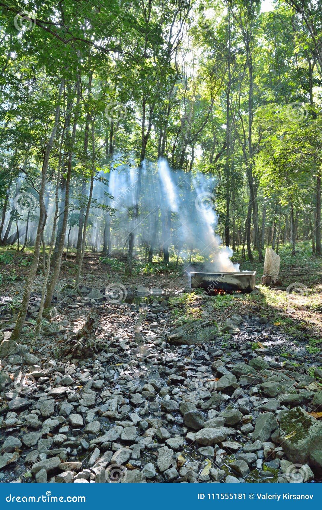 Medicinal bath in forest 9 stock image. Image of serenity - 111555181