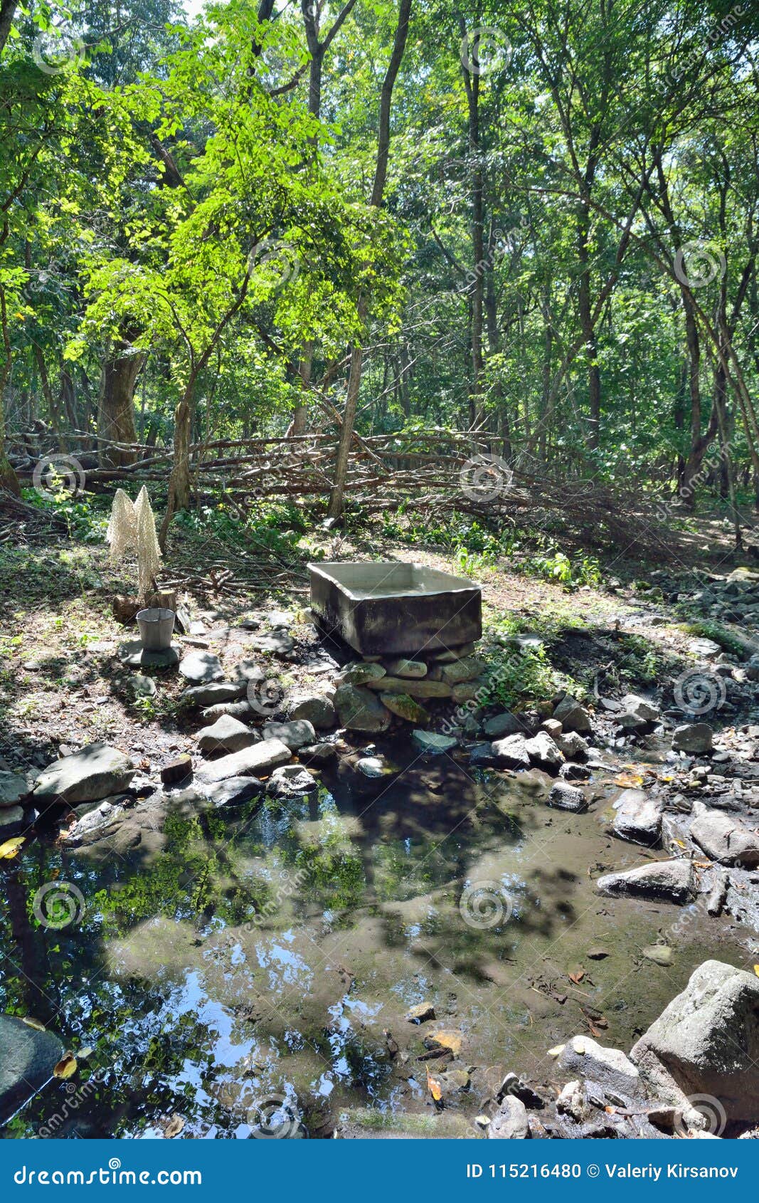 Medicinal bath in forest 7 stock photo. Image of outdoors - 115216480