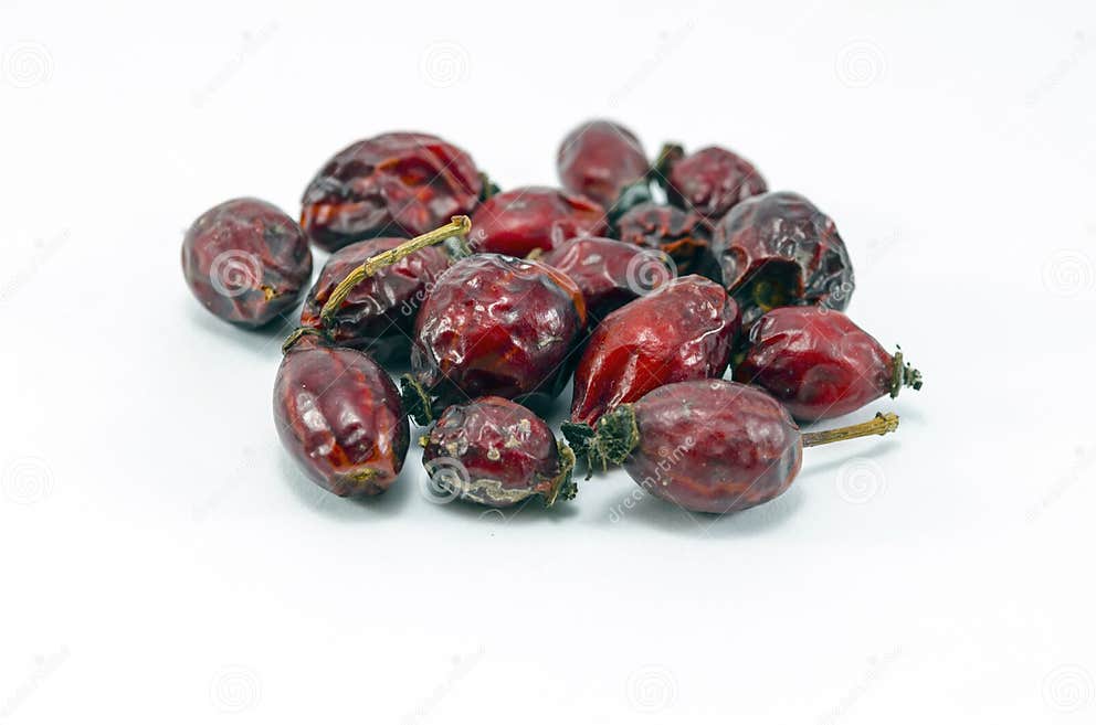 Medicinal berries stock photo. Image of dried, fruit - 46513250