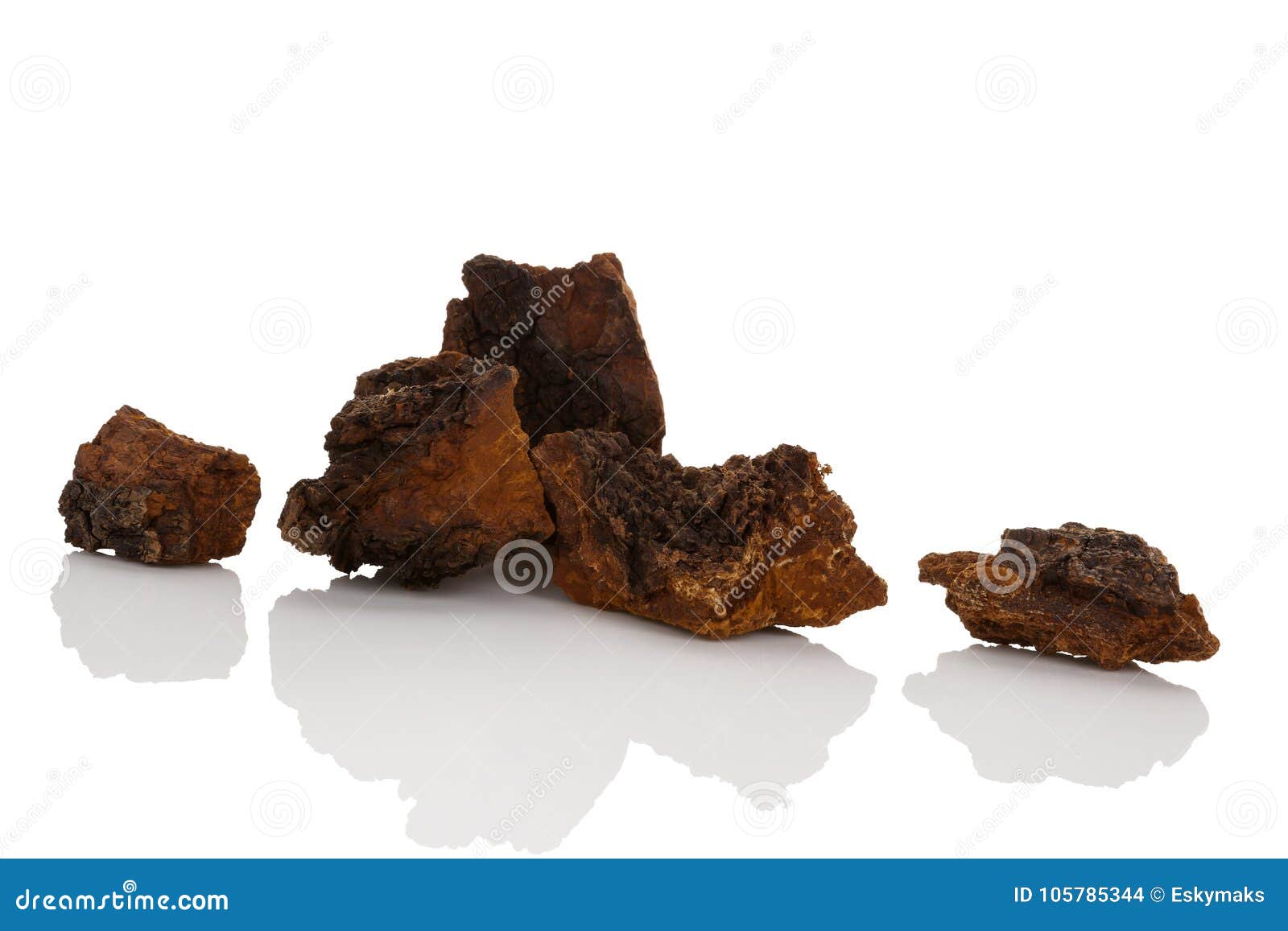 Medicinal Chaga Mushroom Pieces Stock Photo - Image of herbal ...