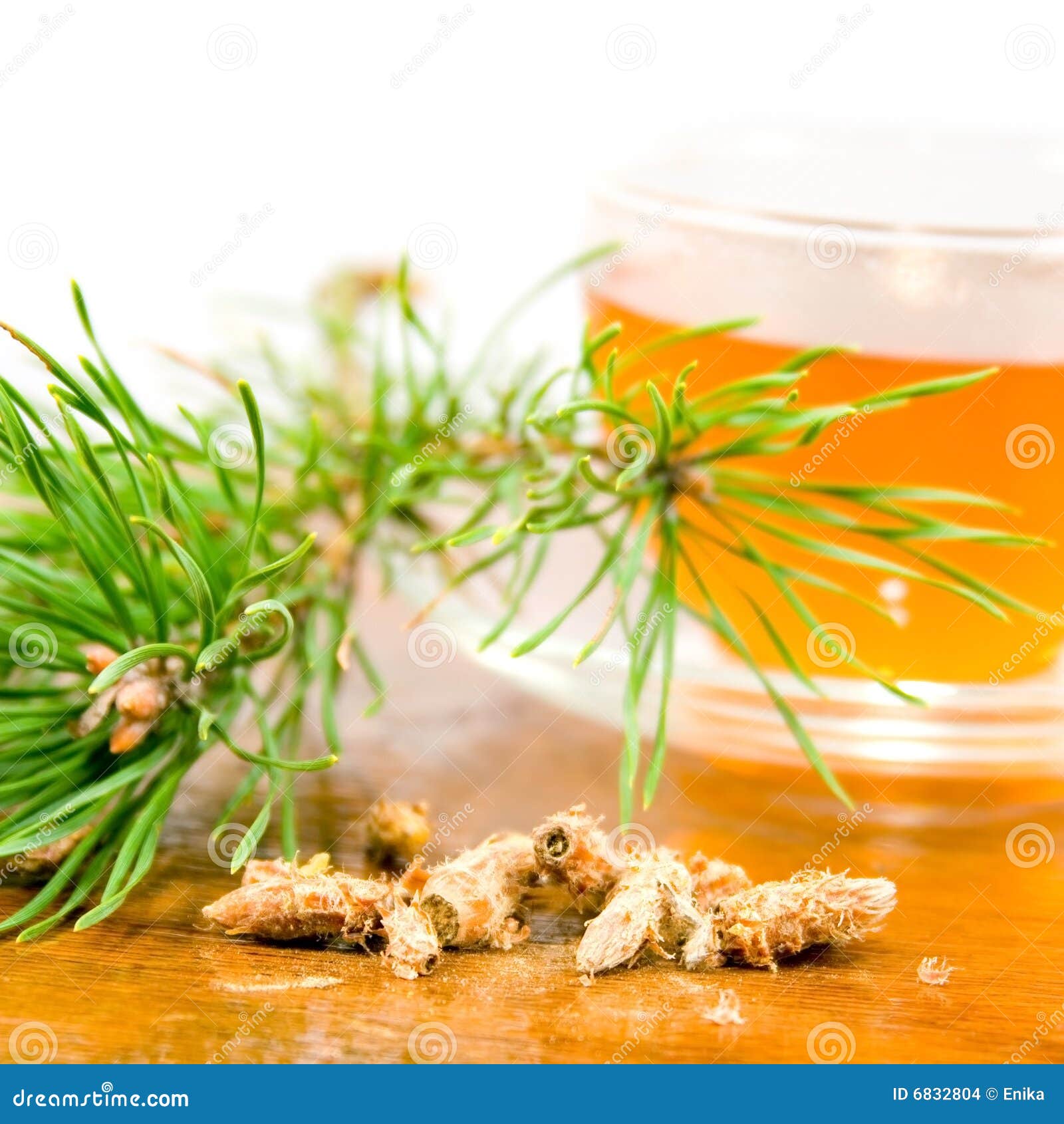 Medicinal decoction stock photo. Image of decoction, pine - 6832804
