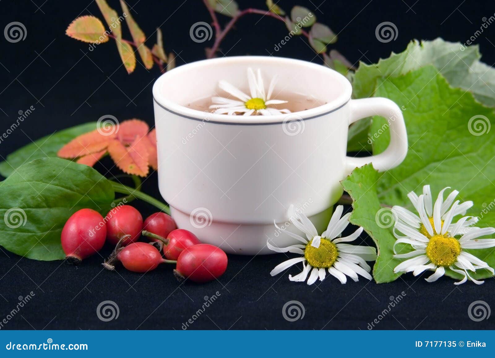 Medicinal decoction stock image. Image of hips, cure, broth - 7177135