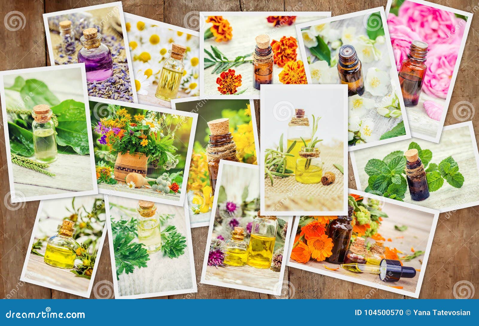 Medicinal herbs collage. stock photo. Image of herbs - 104500570