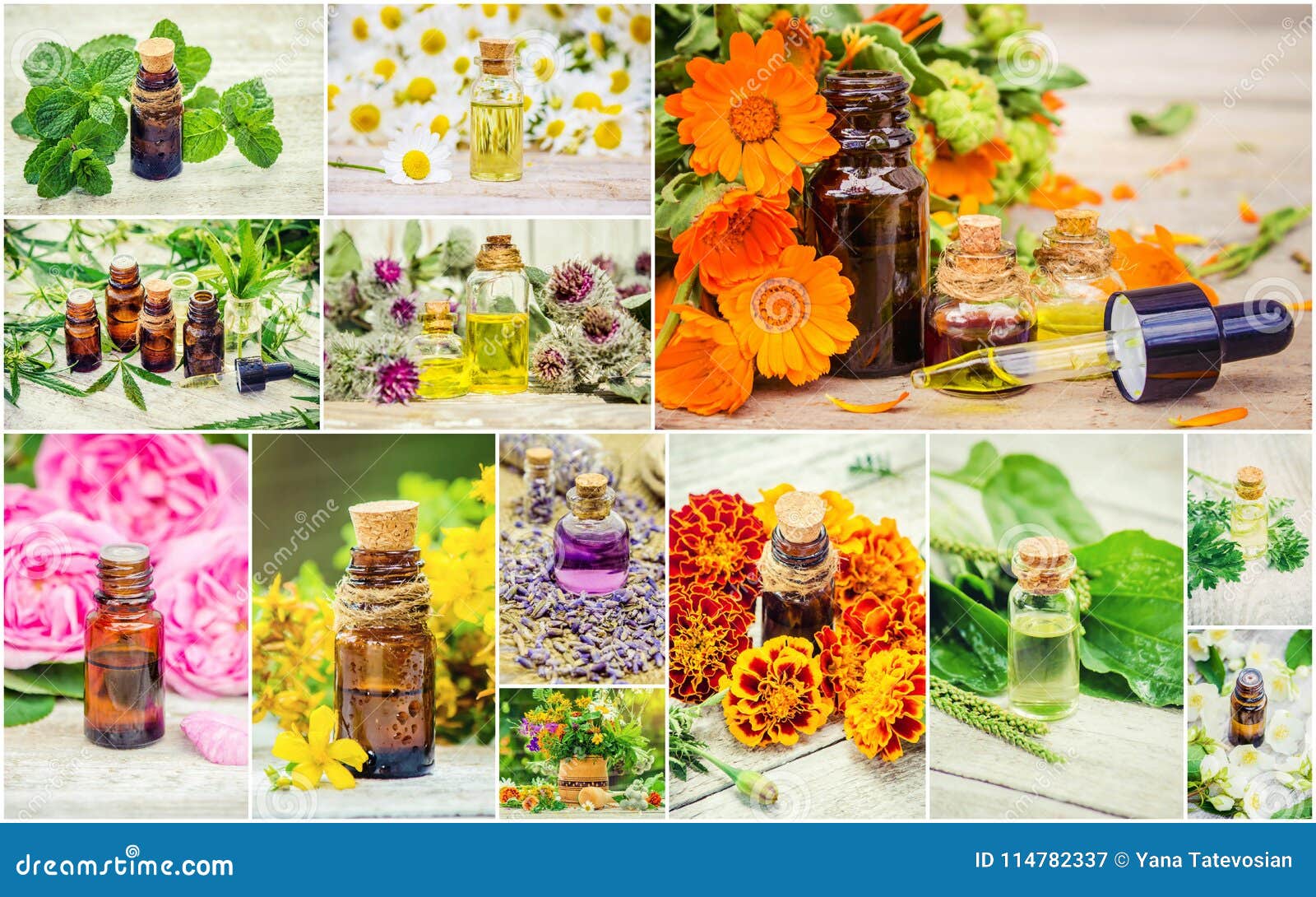 Medicinal herbs collage. stock image. Image of decoction - 114782337