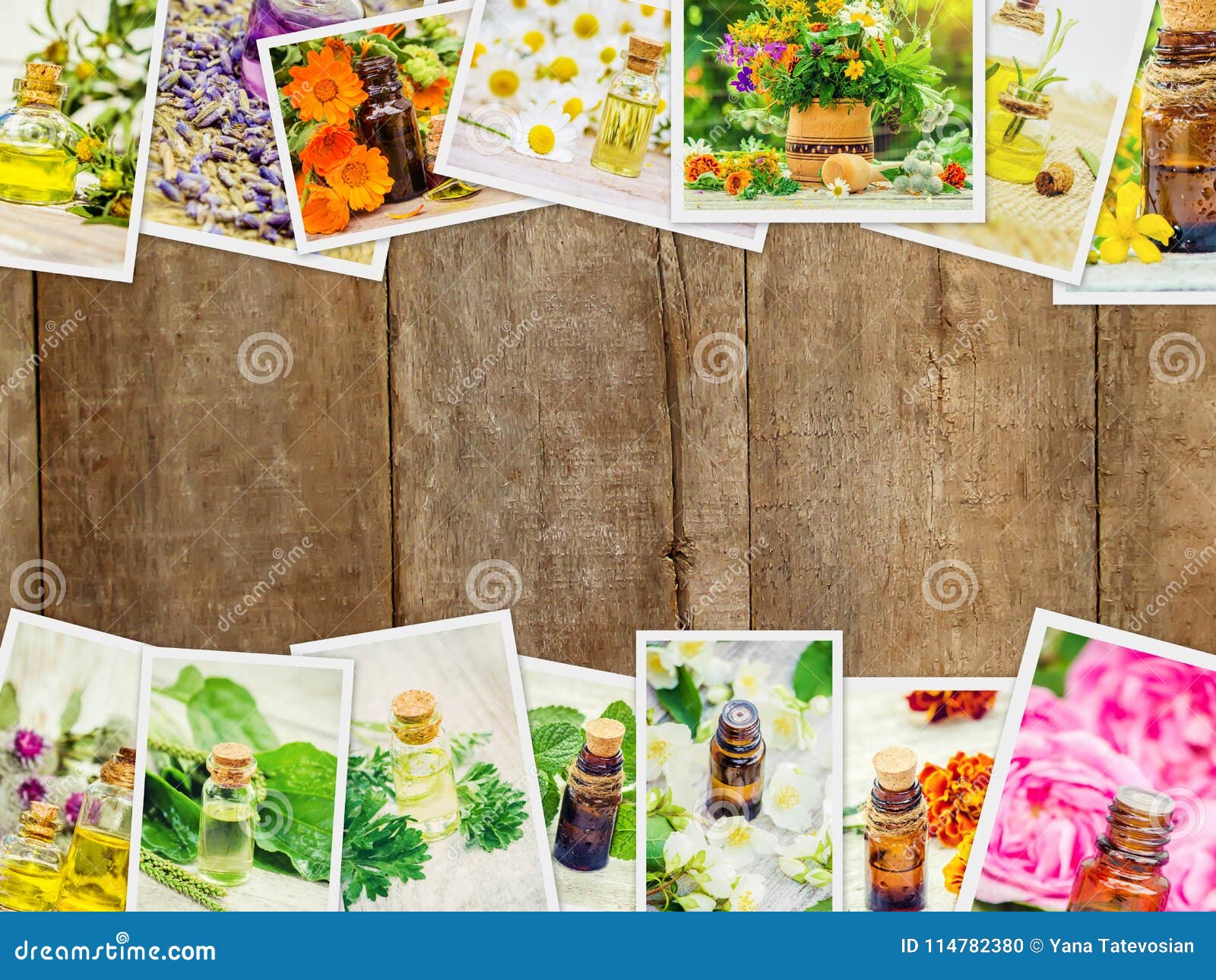 Medicinal herbs collage. stock photo. Image of bottle - 114782380