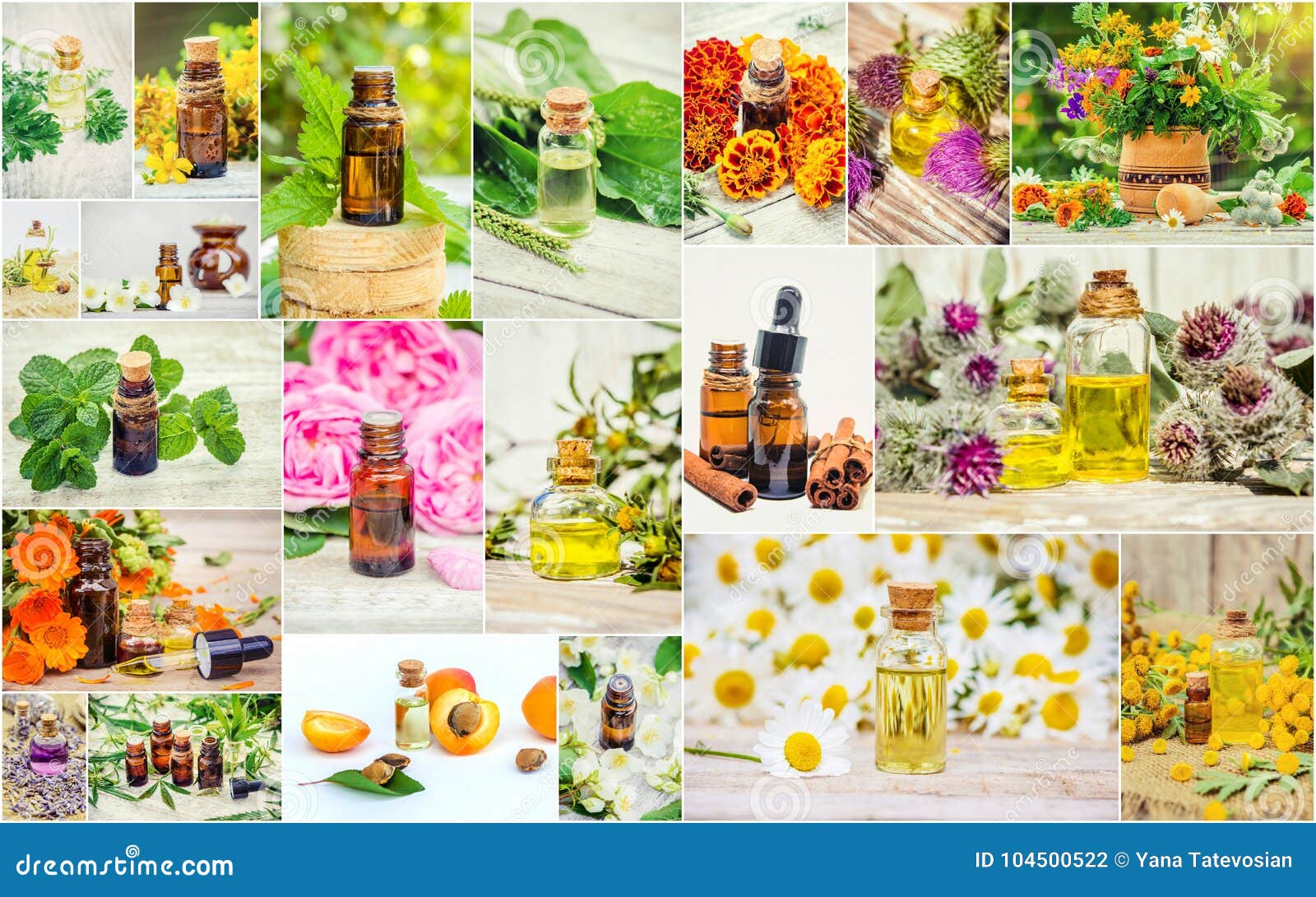 Medicinal herbs collage. stock photo. Image of herbs - 104500522