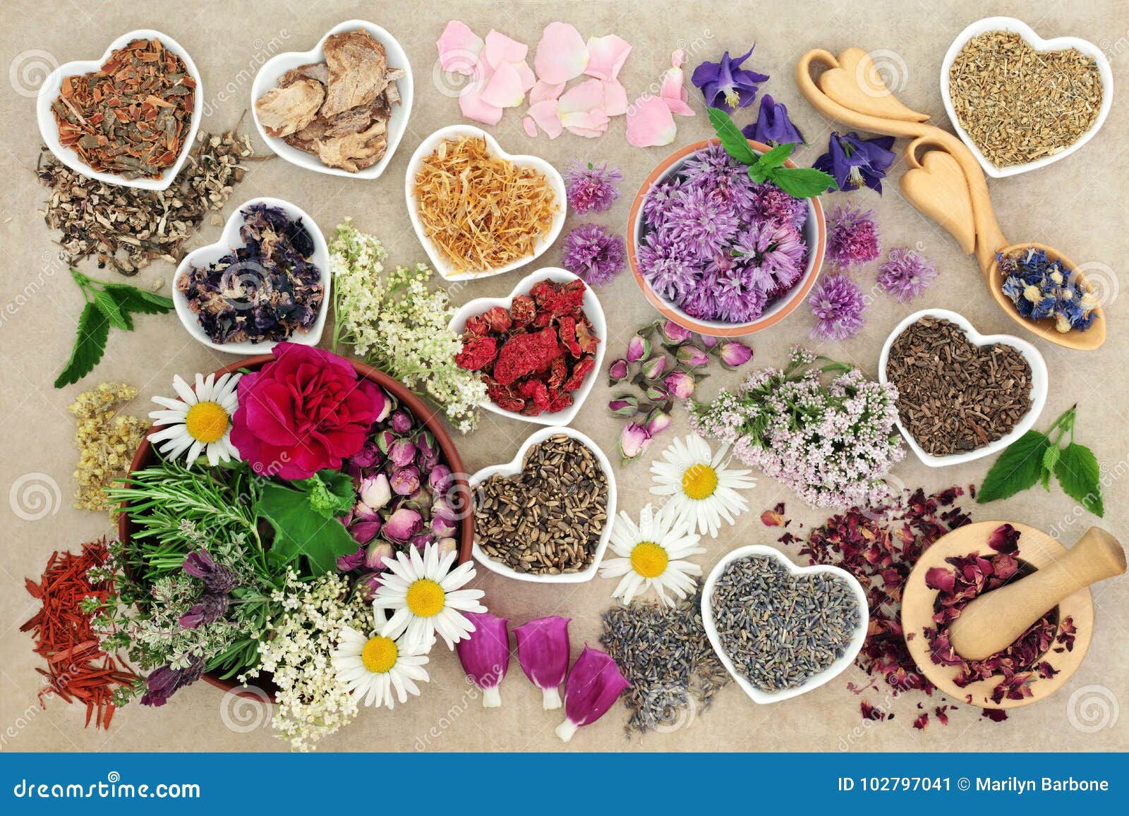 1,702 Medicinal Hemp Stock Photos - Free & Royalty-Free Stock Photos ...