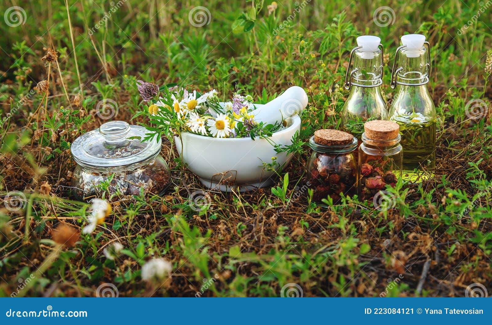 Medicinal Herbs and Herbal Tinctures. Selective Focus Stock Image ...