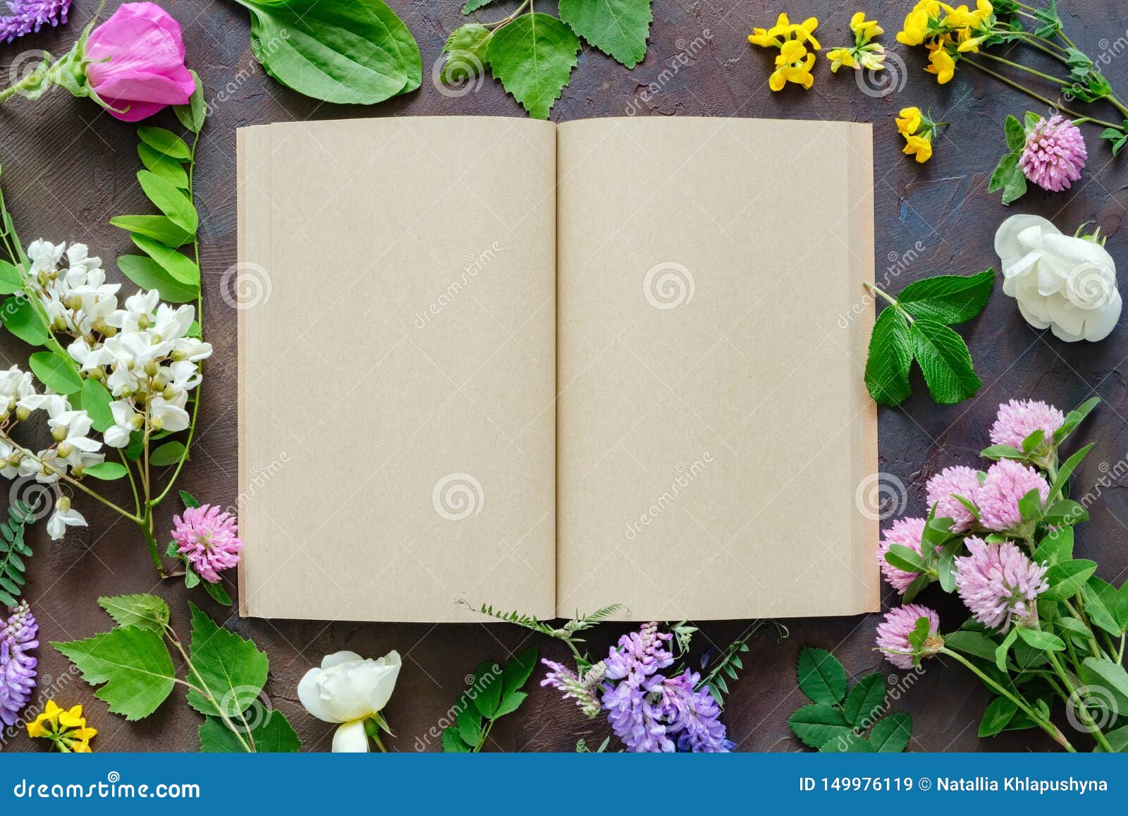 Medicinal Herbs and Plants, Open Blank Paper Book. Stock Image - Image ...