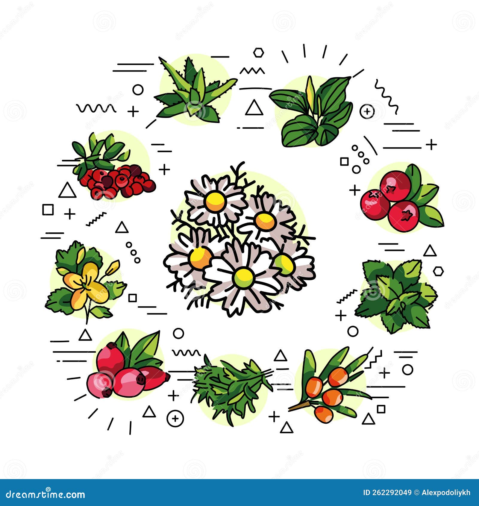 Medicinal Herbs and Plants Web Banner. Infographics with Linear Icons ...