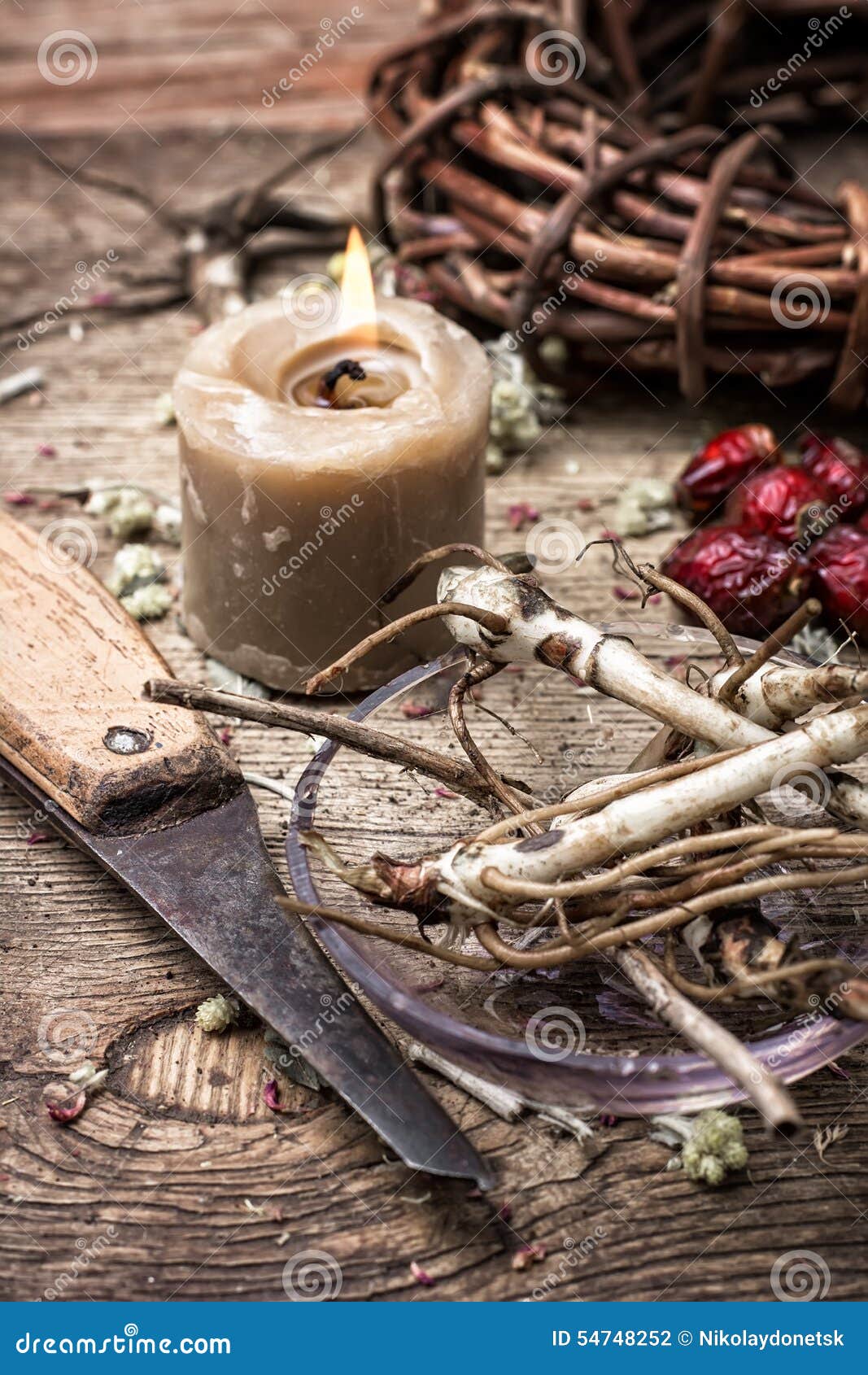 Medicinal herbs and roots stock photo. Image of pharmaceutical - 54748252