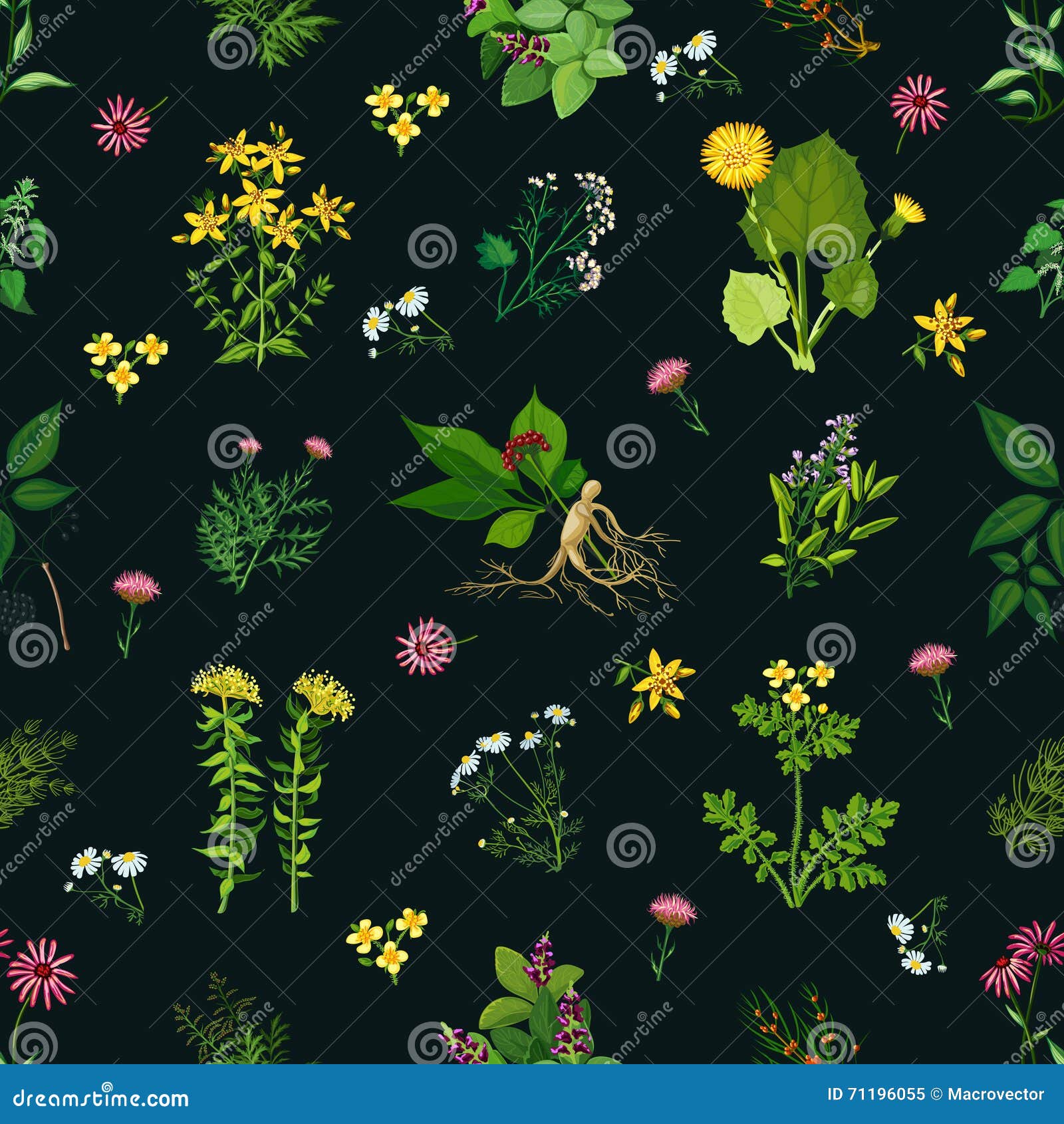 Medicinal Herbs Seamless Pattern Stock Vector - Illustration of ...