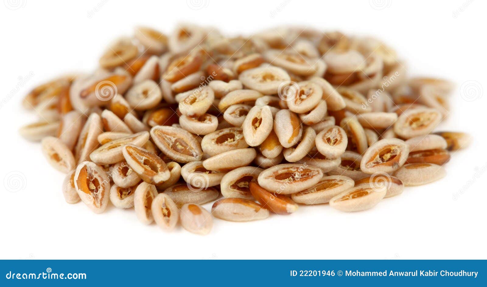 Medicinal Isabgol stock photo. Image of mucus, isabgol - 22201946