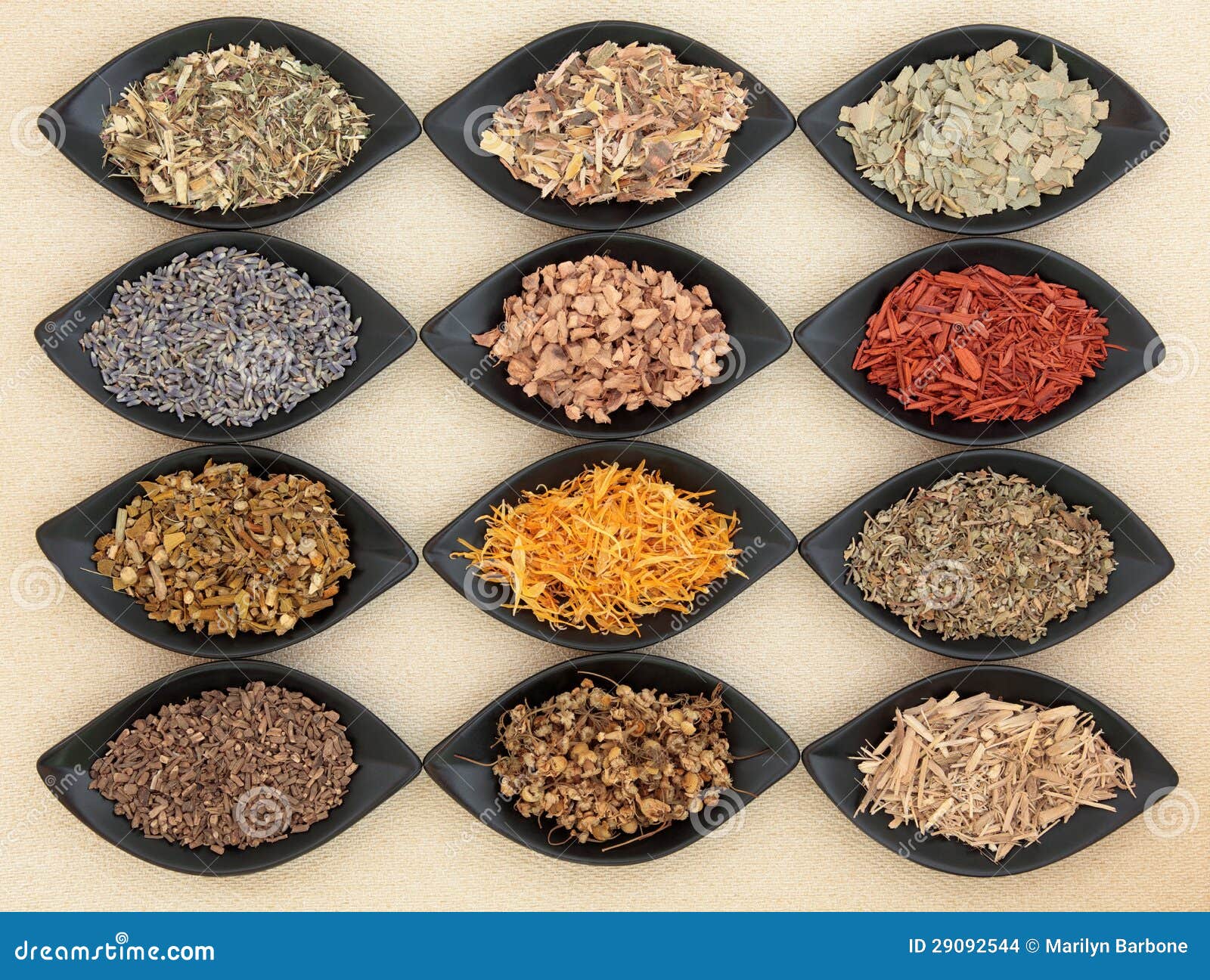 Medicinal and Magical Herbs Stock Photo - Image of sampler, marigold ...