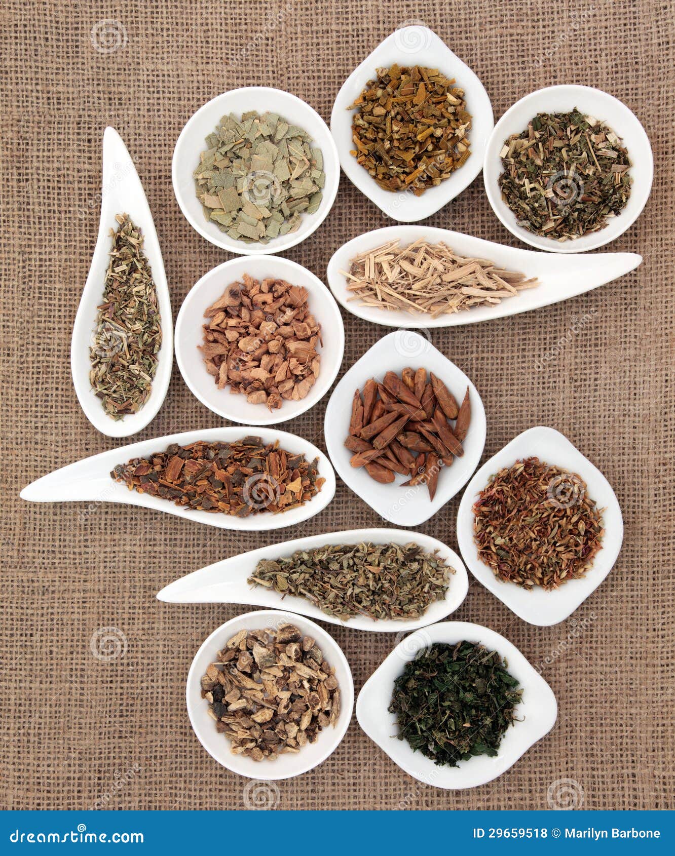 Medicinal and Magical Herbs Stock Photo - Image of elecampane ...