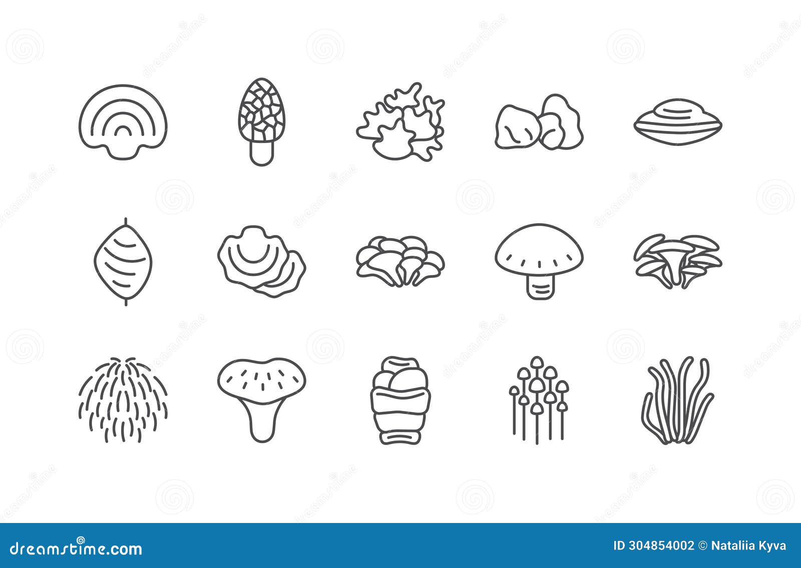 Agarikon Mushroom Watercolor Illustration. Hand Painted Fomitopsis ...