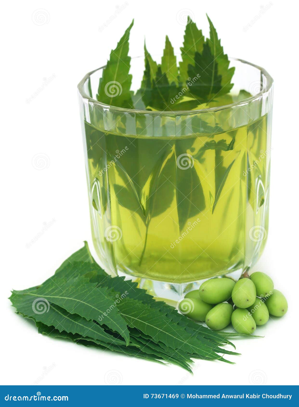 Medicinal Neem Extract with Fruits and Leaves Stock Image - Image of ...