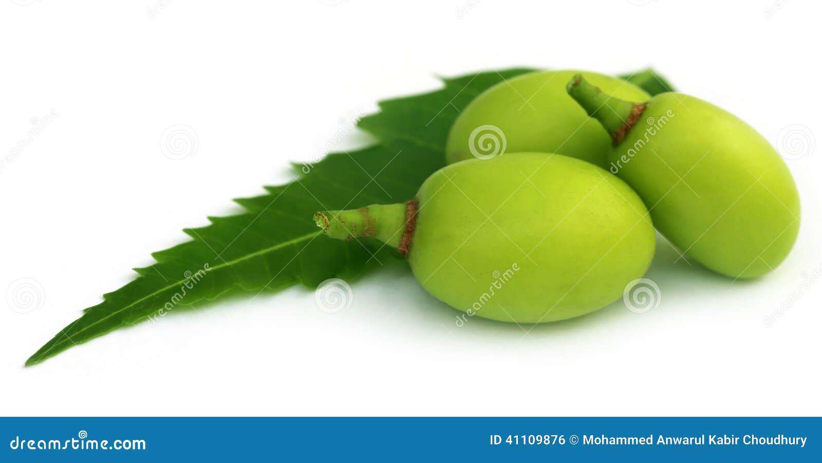 Neem Fruit