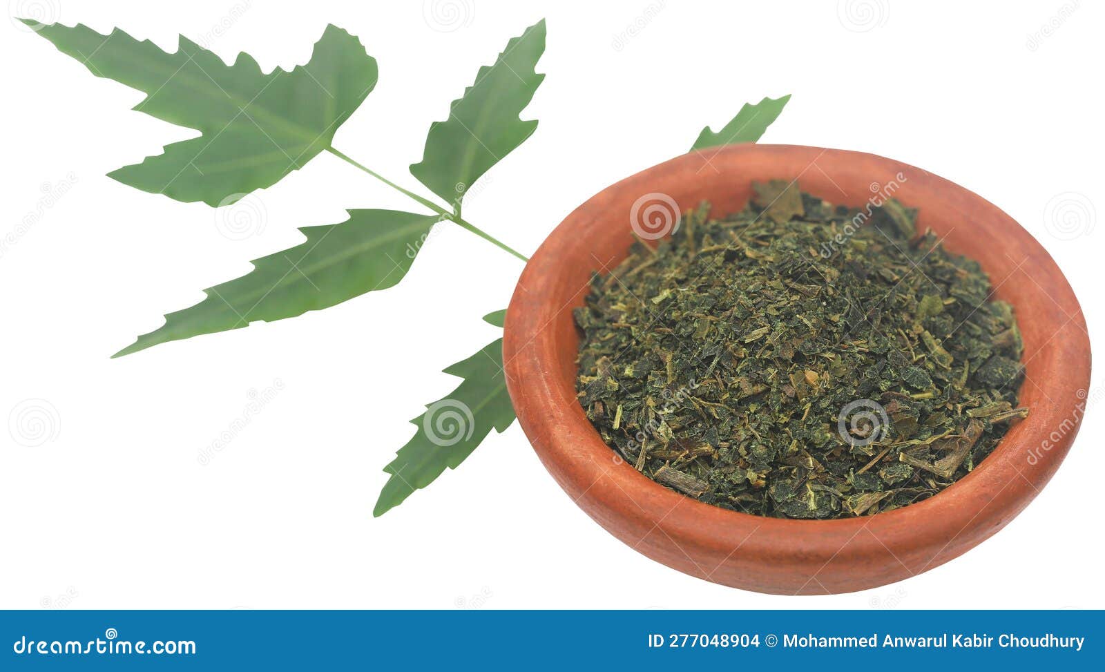 Medicinal Neem Leaves With Extract Stock Image | CartoonDealer.com ...