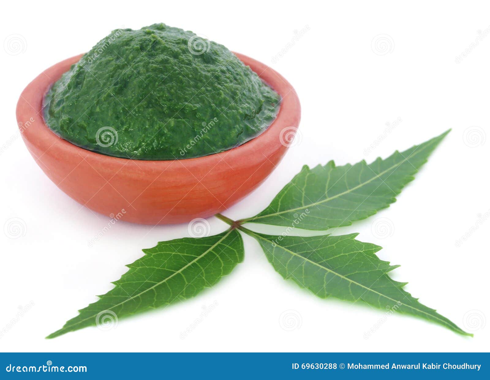Medicinal Neem Leaves with Ground Paste Stock Photo - Image of ...