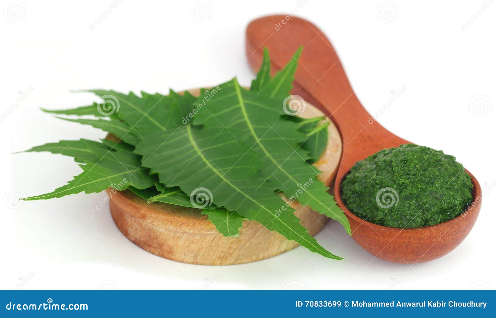 Medicinal Neem Leaves with Ground Paste Stock Image - Image of herbal ...