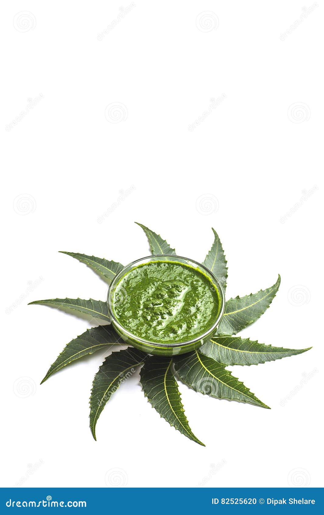 Medicinal Neem Leaves with Paste Stock Photo - Image of health, india ...
