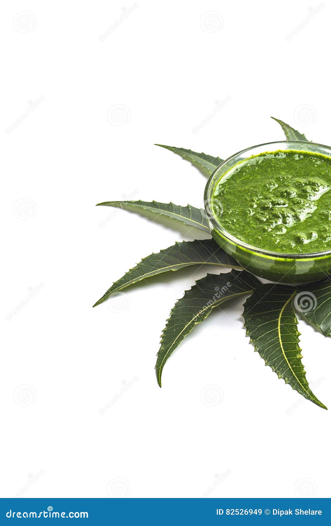 Medicinal Neem Leaves with Paste Stock Image - Image of herb, diet ...