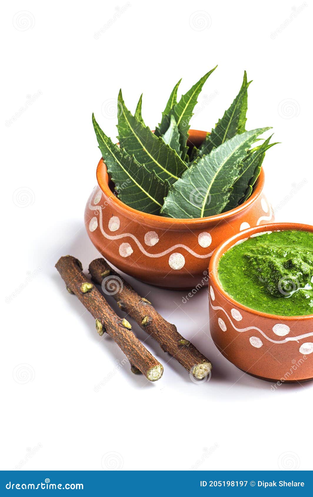 Medicinal Neem Leaves with Paste and Twigs on White Background Stock ...