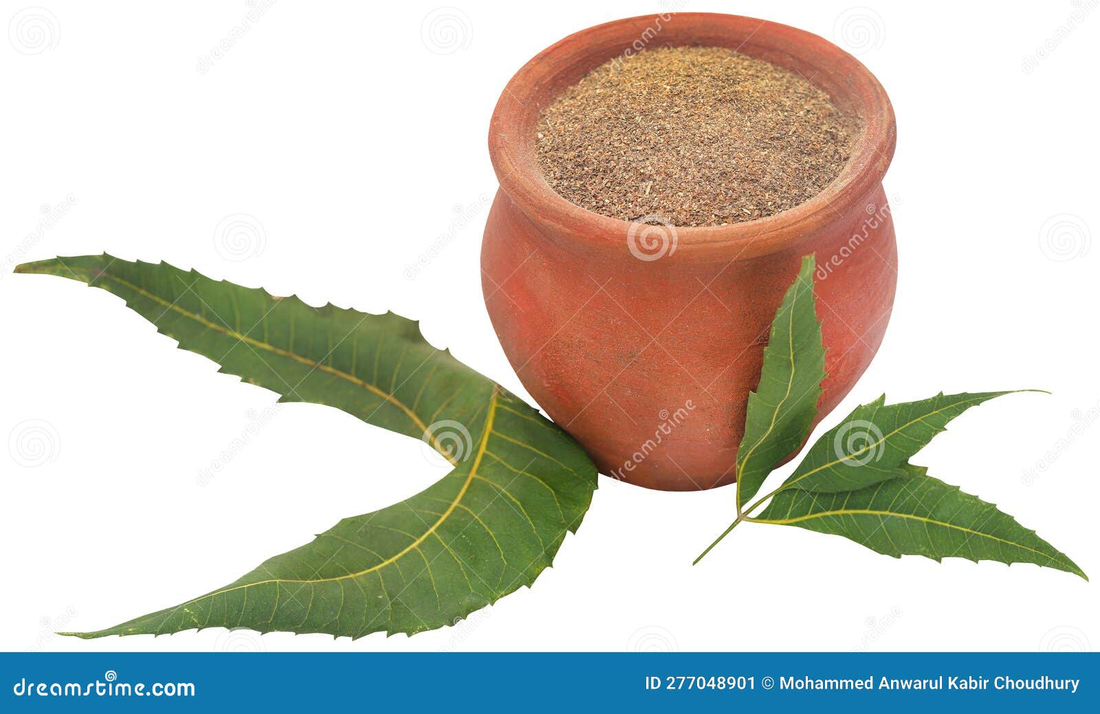 Medicinal Neem Leaves with Powder Stock Image - Image of branch ...