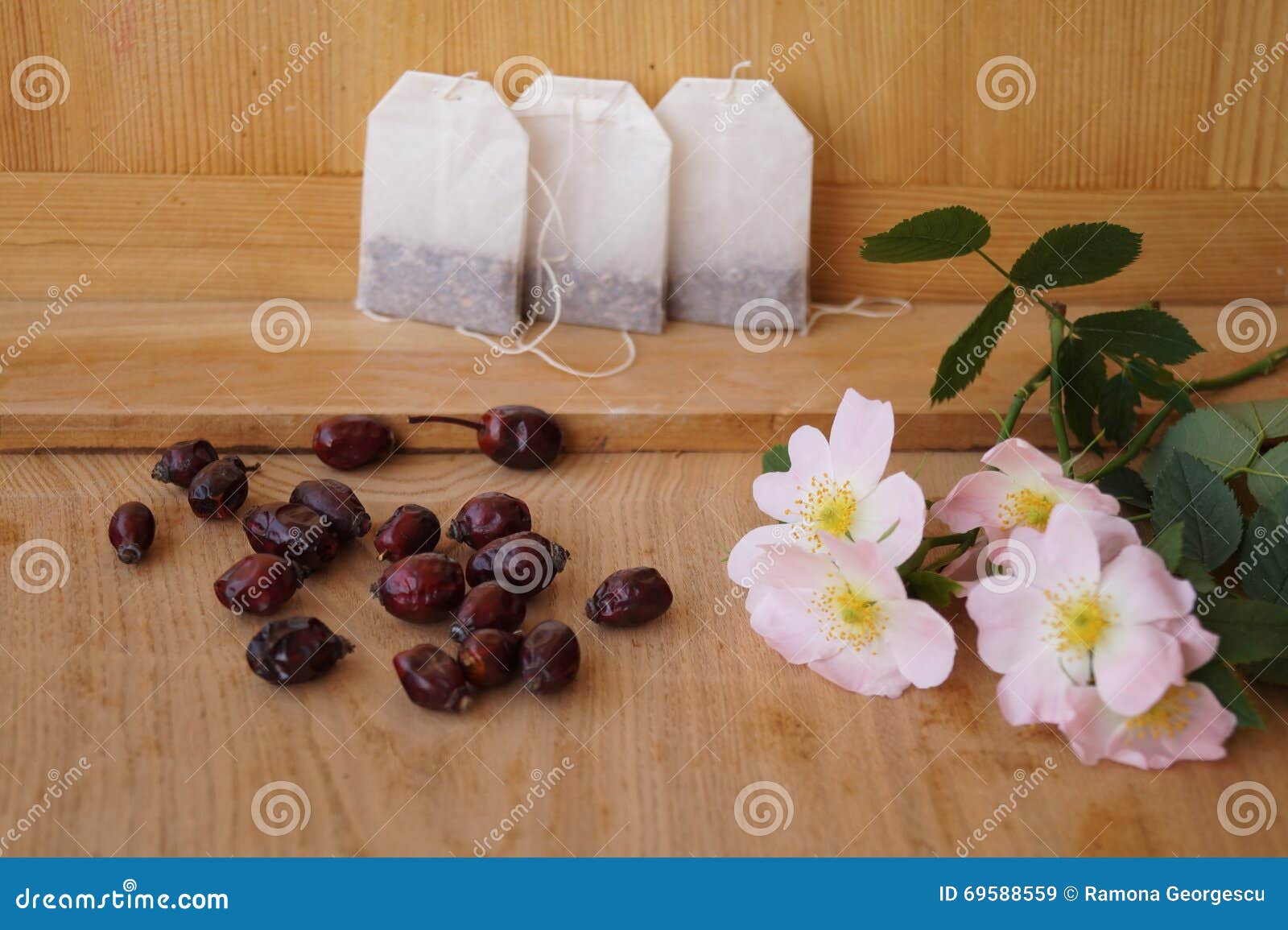 Medicinal Plants - Eglantine Stock Image - Image of leaves, golden ...