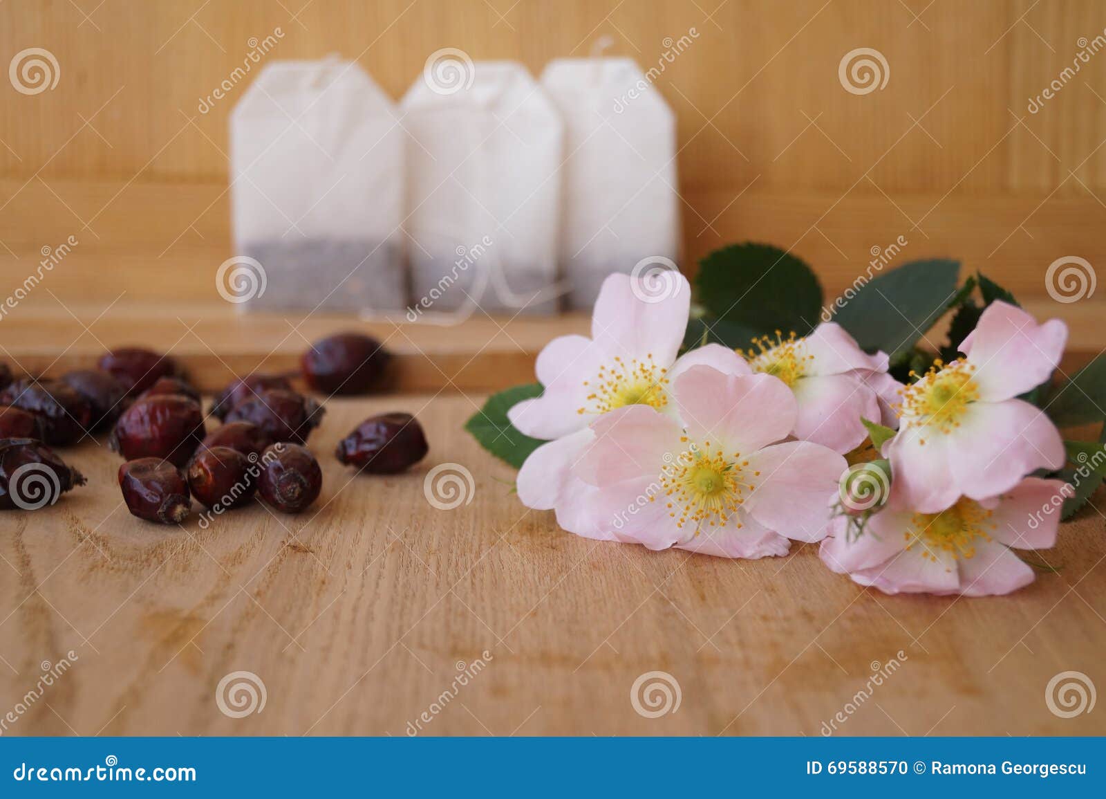 Medicinal Plants - Eglantine Stock Photo - Image of herbal, fruit: 69588570