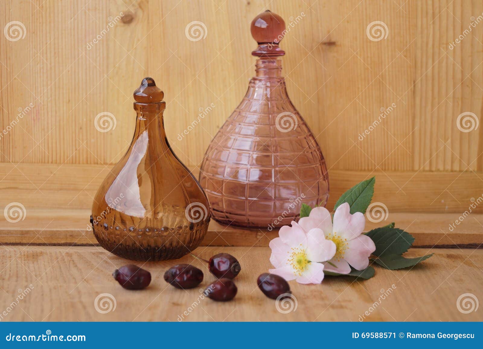 Medicinal Plants - Eglantine Stock Image - Image of healthy, medicine ...