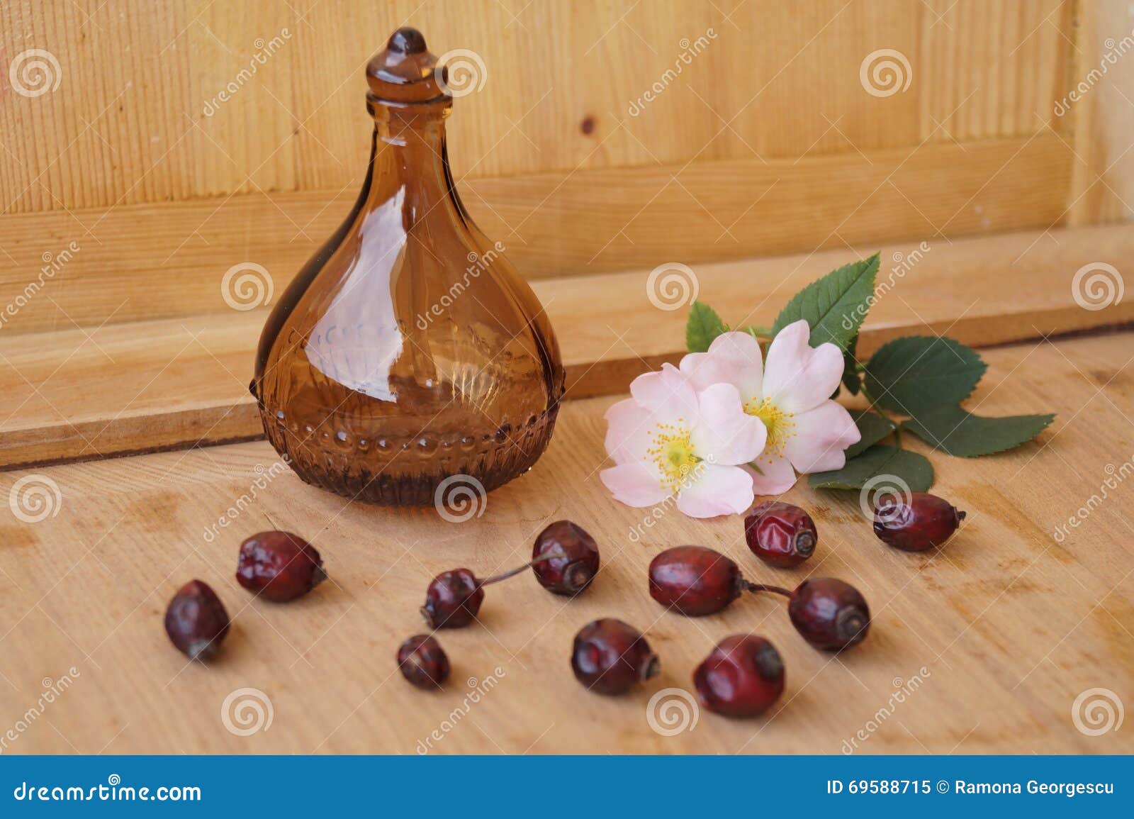 Medicinal Plants - Eglantine Stock Image - Image of alternative, fresh ...