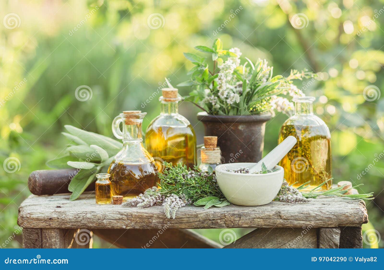 Medicinal Plants and Oils for Massage Stock Photo - Image of plant ...
