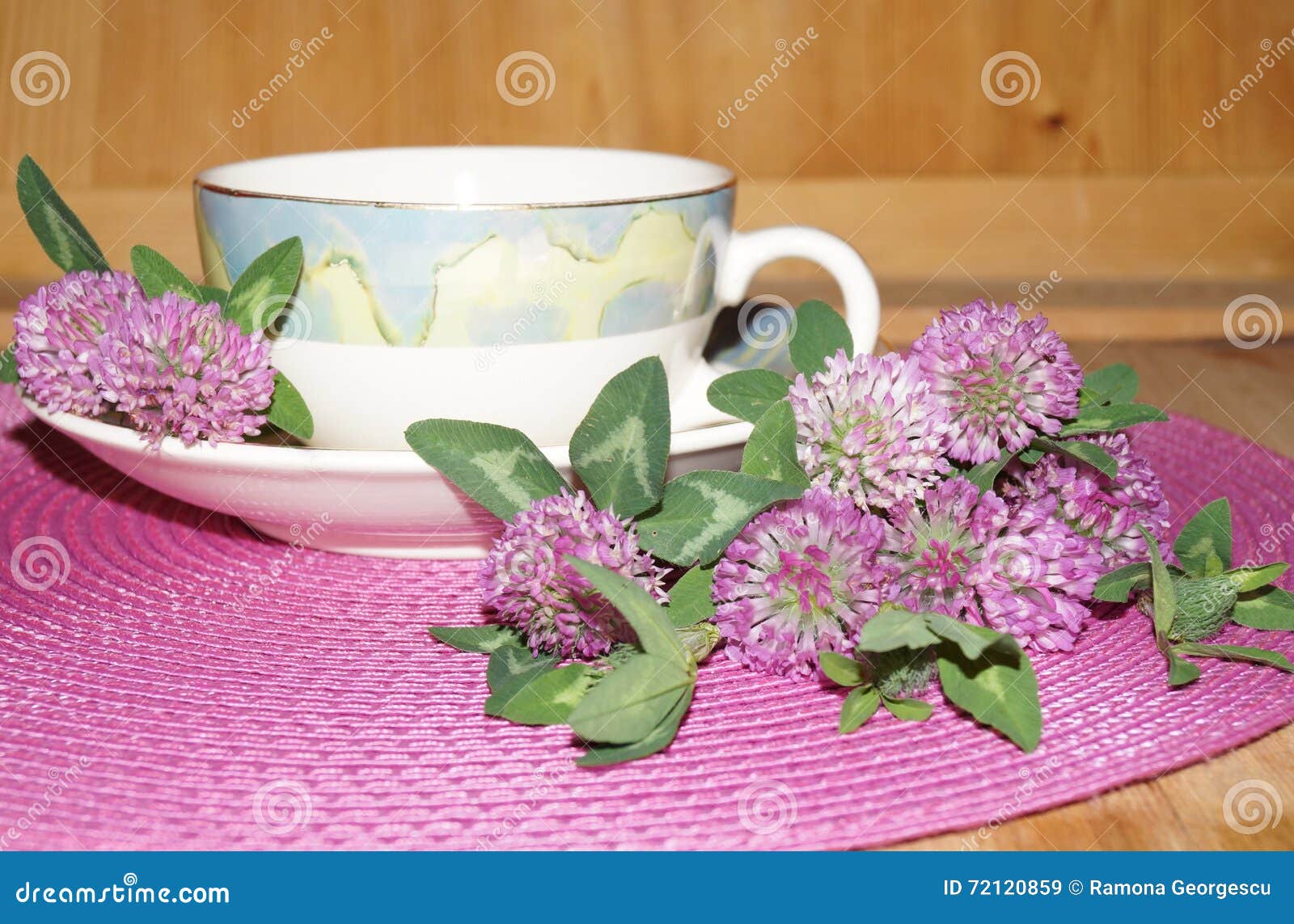 Medicinal Plants - Red Clover Stock Image - Image of infusion ...