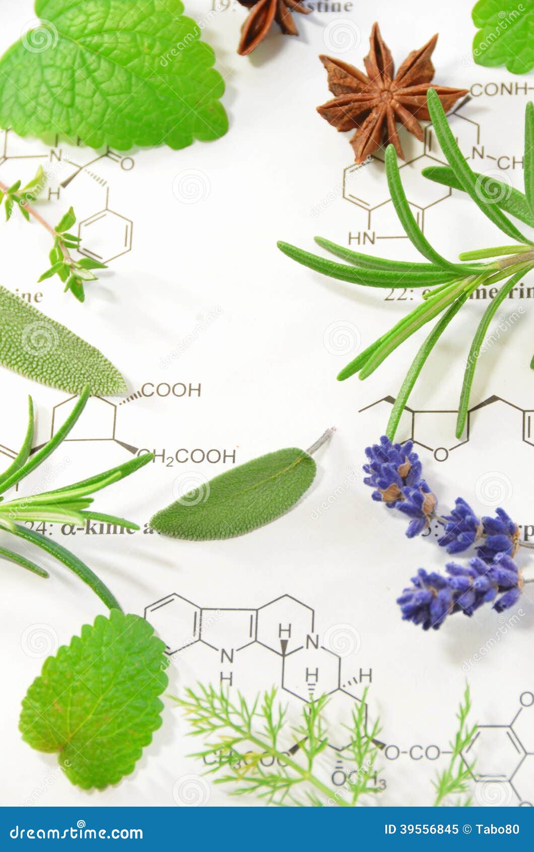 Medicinal plants stock image. Image of lavender, research - 39556845