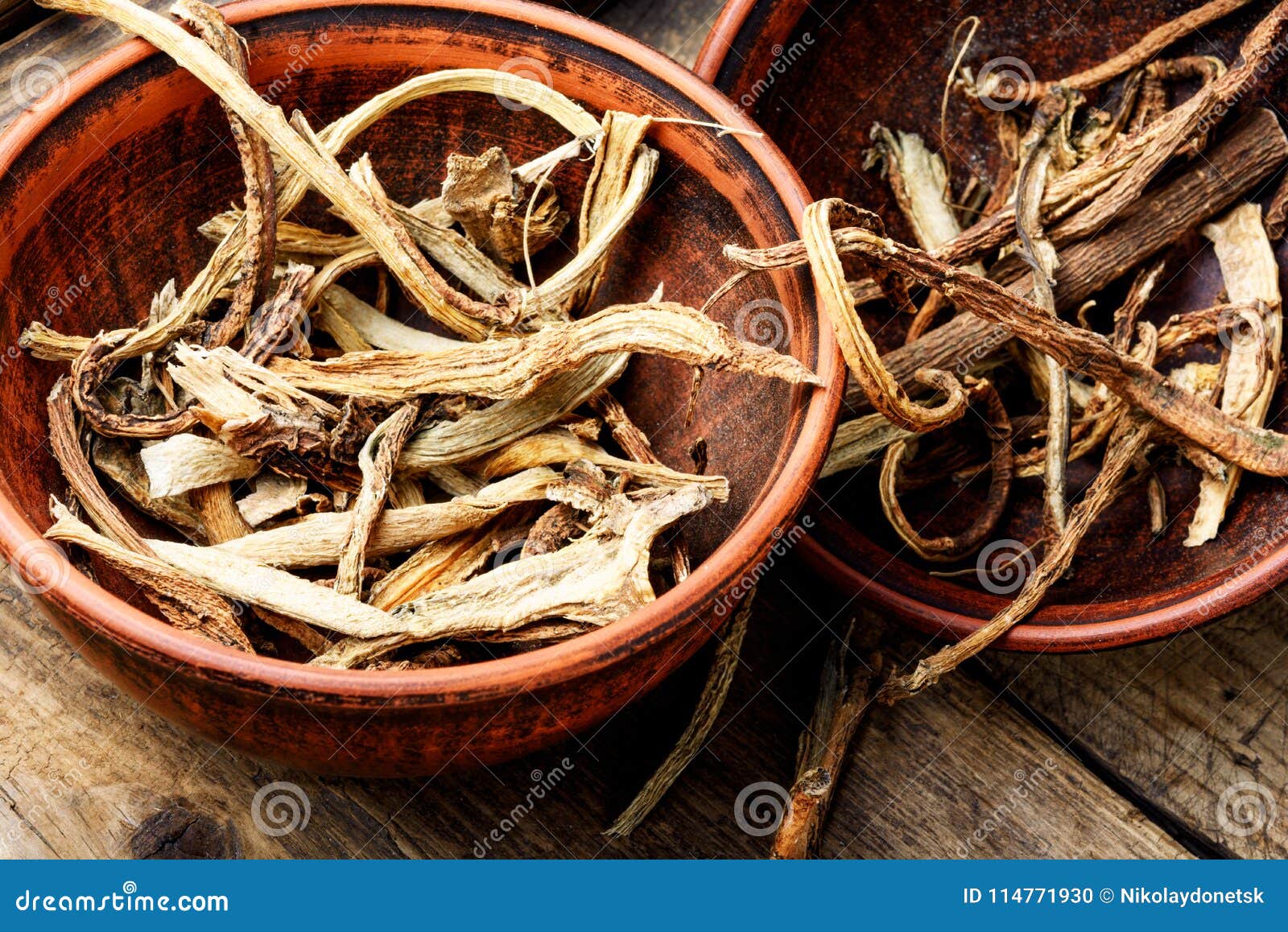 Medicinal root inula stock photo. Image of elecampane - 114771930