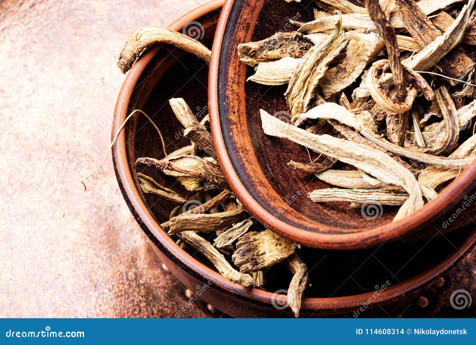 Medicinal root inula stock photo. Image of herbal, elecampane - 114608314