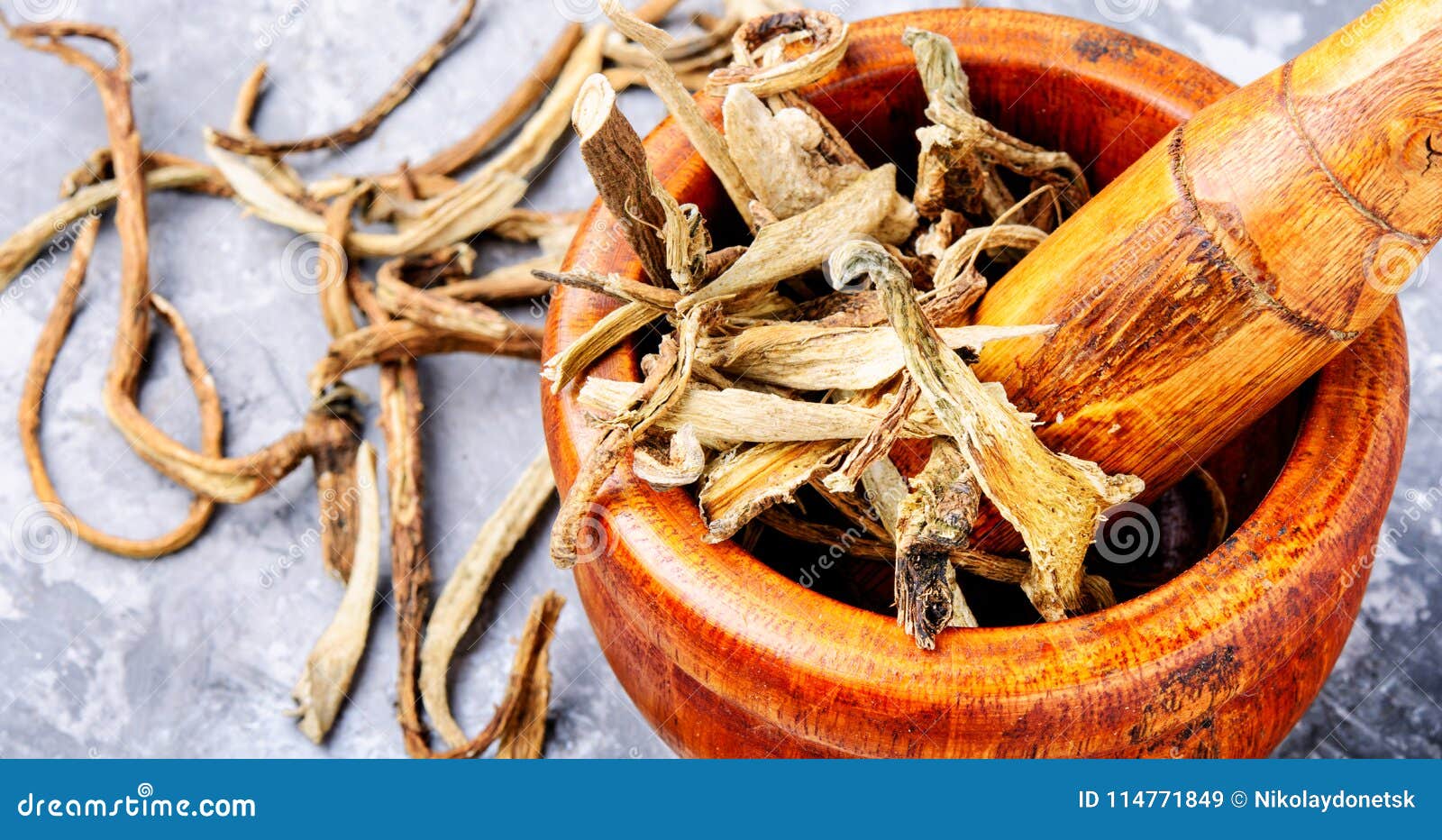 Medicinal root inula stock image. Image of medicinal - 114771849