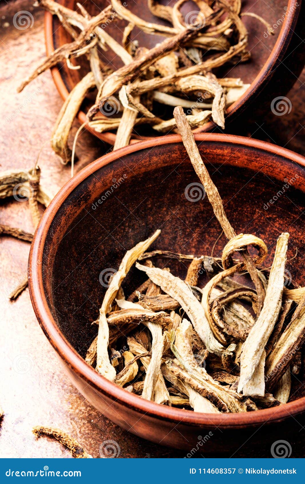 Medicinal root inula stock image. Image of homeopathic - 114608357
