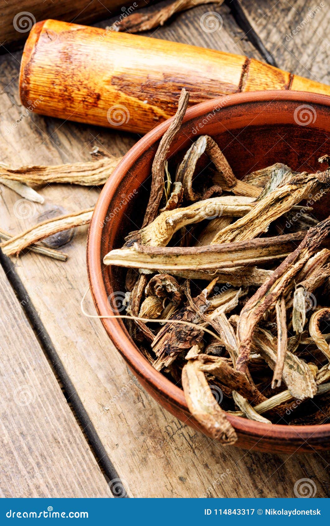 Medicinal root inula stock image. Image of inula, decoction - 114843317