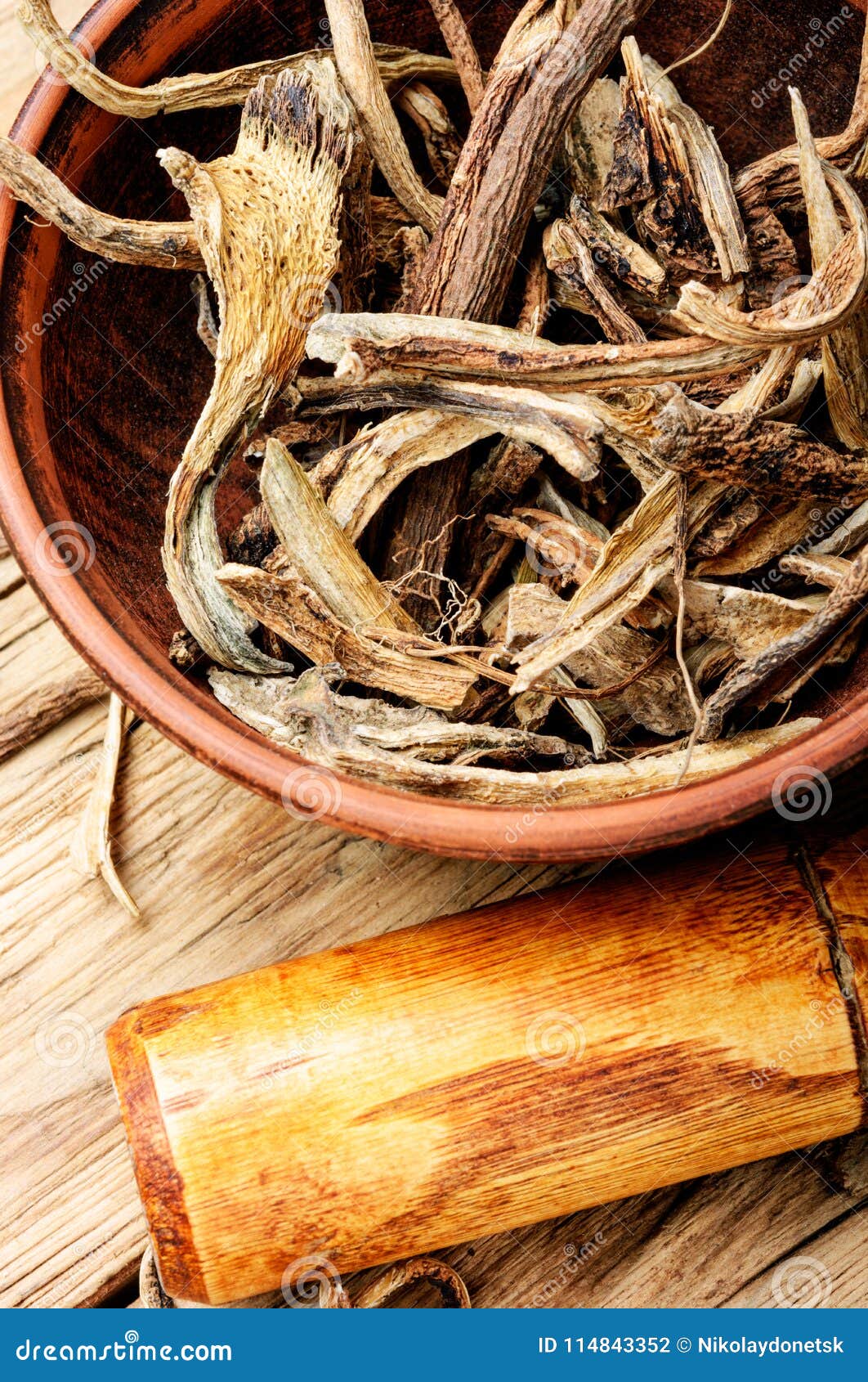 Medicinal root inula stock photo. Image of homeopathic - 114843352
