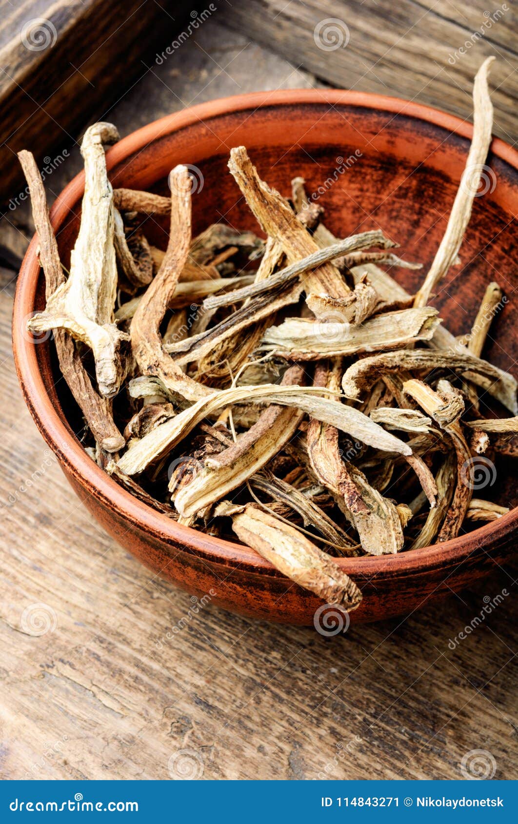 Medicinal root inula stock image. Image of flora, inula - 114843271