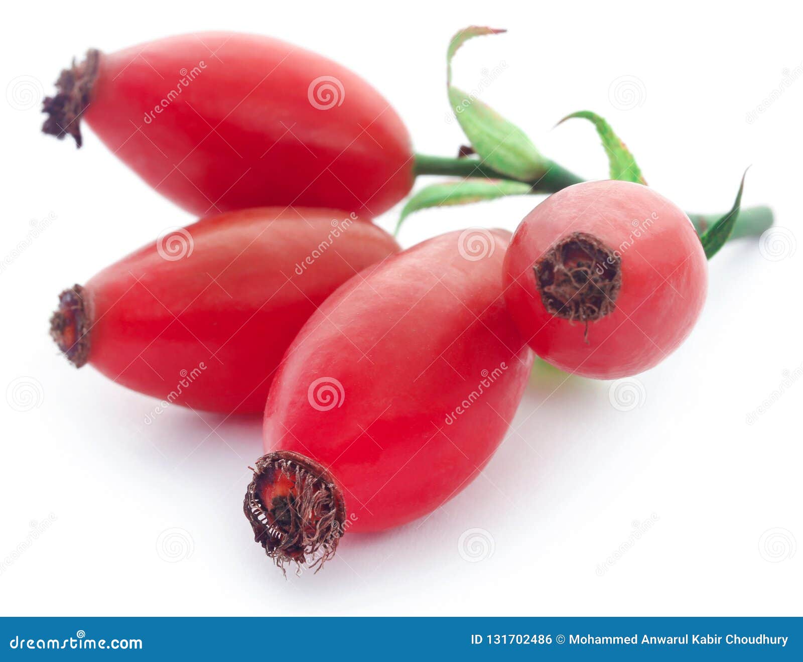 Medicinal Rose hips stock photo. Image of medicinal - 131702486
